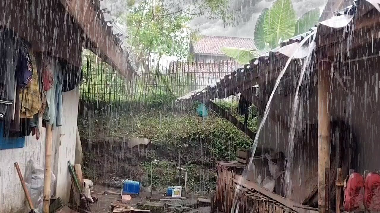 Heavy Rain Sounds Makes Me Fall Asleep Fast and Get Rid of Insomnia ...