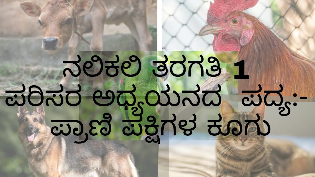 ನಲಿಕಲಿ ತರಗತಿ 1 ಪರಿಸರ ಅಧ್ಯಯನದ ಪದ್ಯ:- ಪ್ರಾಣಿ ಪಕ್ಷಿಗಳ ಕೂಗು...Class 1 Poem ...