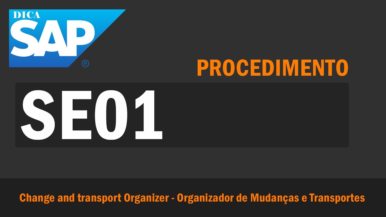 SE01, SE09 e SE10 - Change and transport Organizer - Organizador de ...