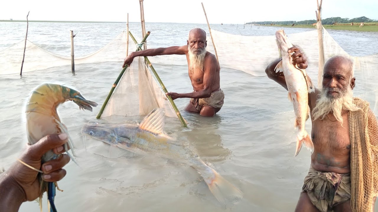 Wow!! Best Unique Hand Fishing Video!! Big Fish Hunting Old Fisherman ...