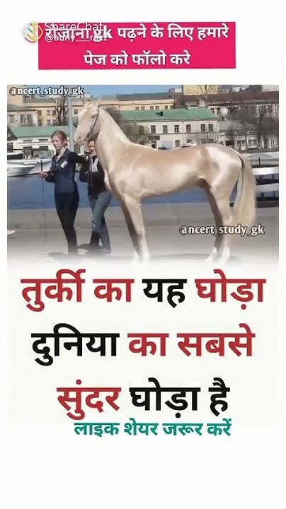 Shivam Dhiman Youtube