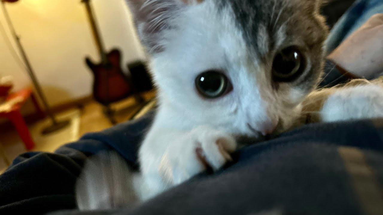 Pippi Loves Cleaning Between Her Toes Because That’s Where All The ...