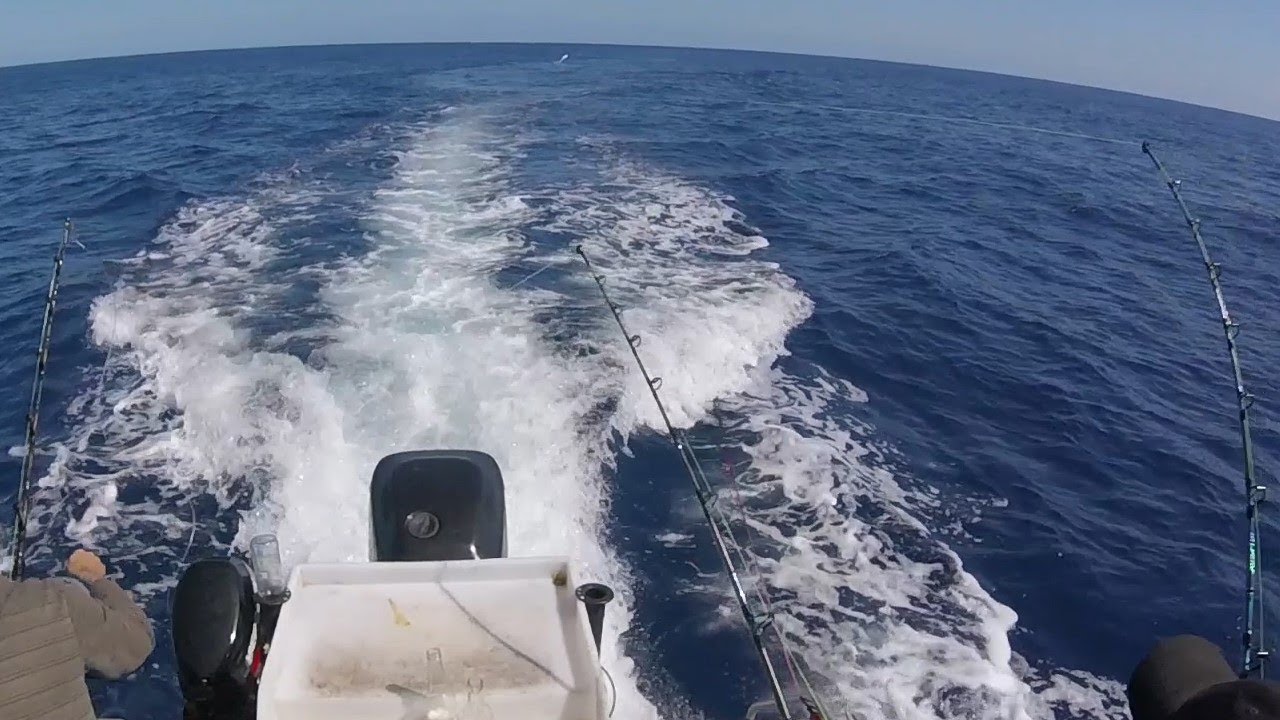 Hooked a Marlin out West - YouTube