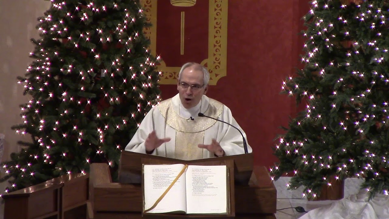 The Baptism of the Lord (Year C) - Fr. Hahn - YouTube