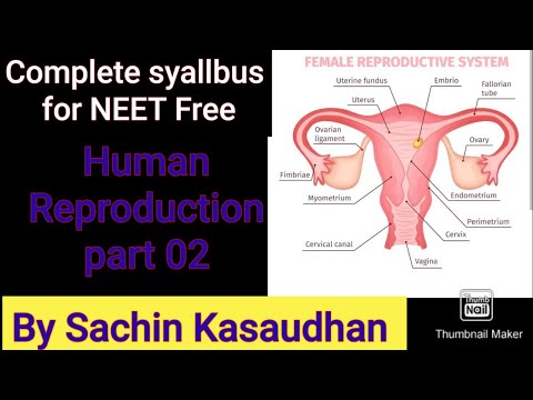 Human Reproduction | Part 02 | Female reproductive system |#neet # ...