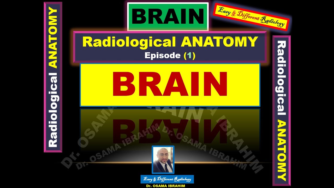 Radiological anatomy; episode (1) BRAIN - YouTube