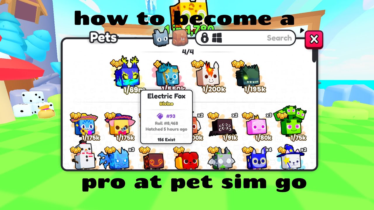 How to become a pro at pet sim go ! - YouTube