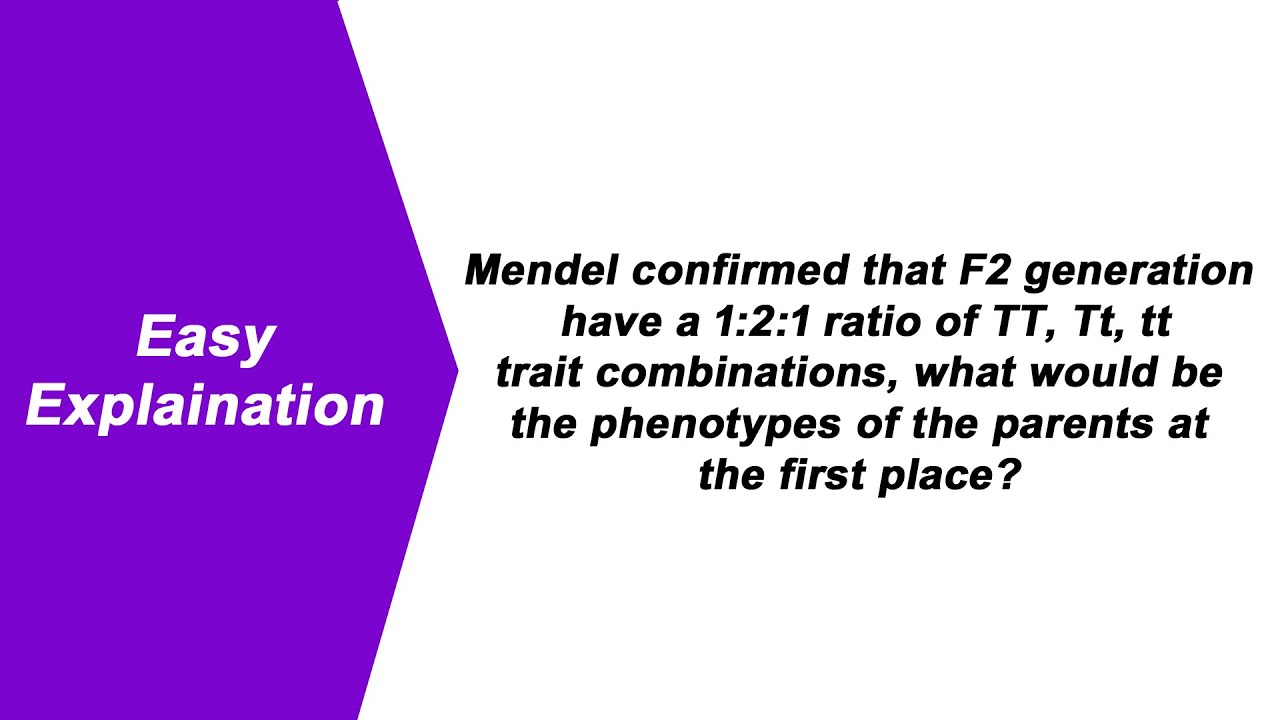 Mendel confirmed that F2 generation have a 1:2:1 ratio of TT, Tt, tt traits, the phenotypes ...