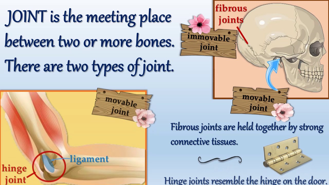 SUPPORT, MOVEMENT & GROWTH FORM 4 PART 3 - YouTube