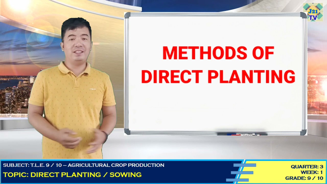 Direct Planting of Vegetable Crops- Video Lesson - YouTube