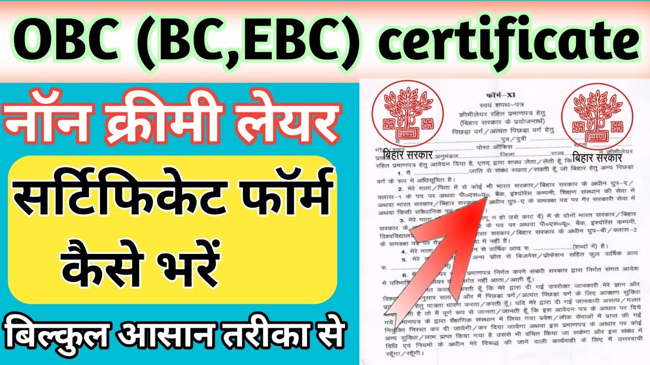 NCL Certificate// bihar ncl certificate shapath patra Kaise bharen ...