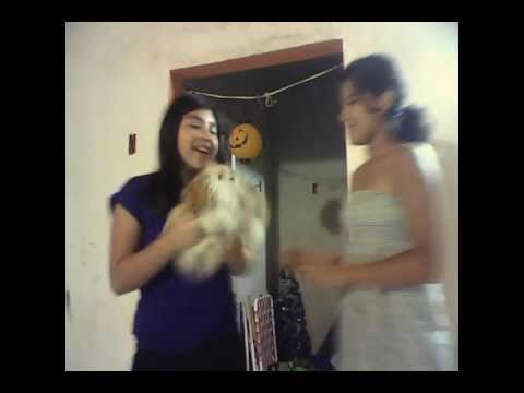 las chicas mas creidas de la historia - YouTube