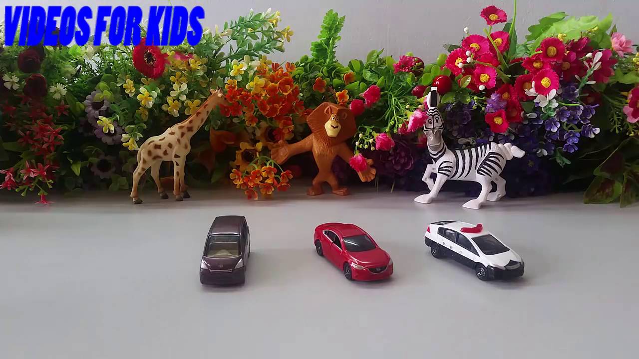 Toy Car Videos | Kids' Toys | Children Videos | Toy Cars for Kids - YouTube