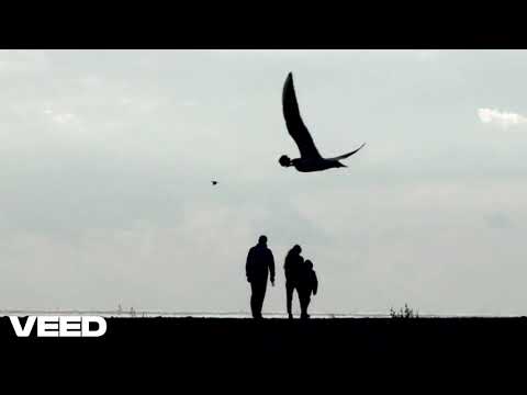 Sülh olsun dünyada #music #song #newmusic