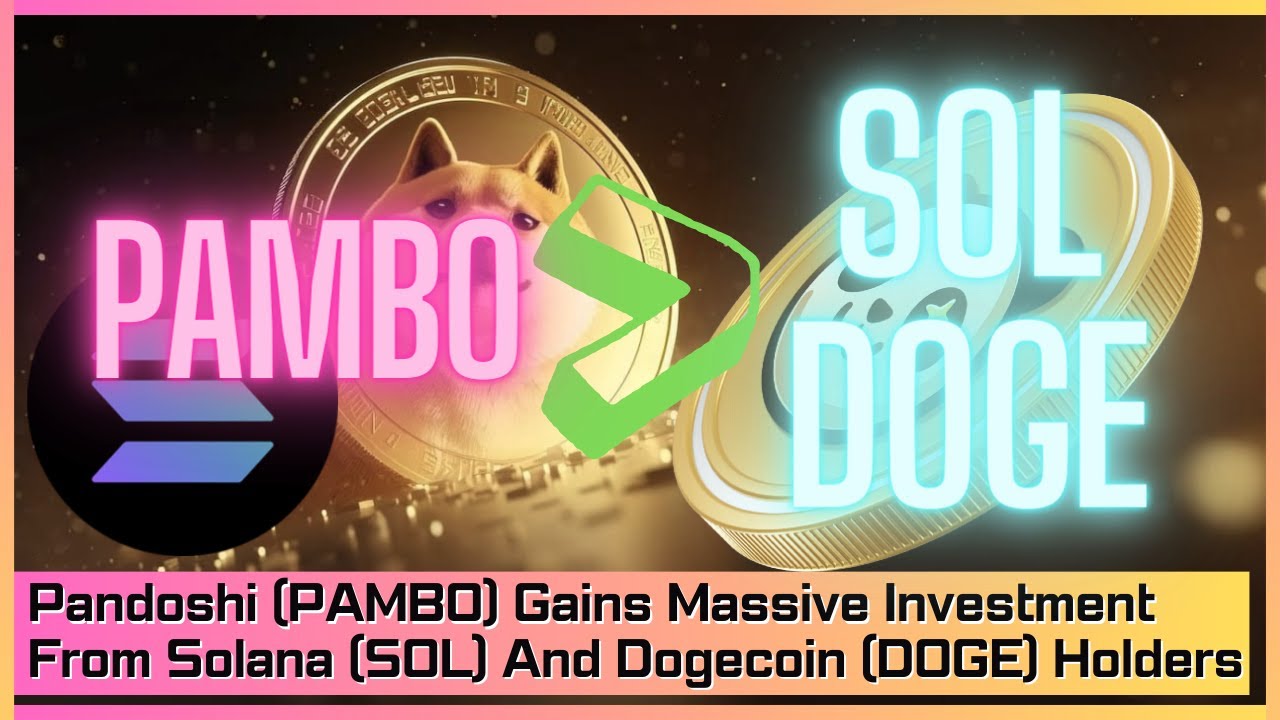 Pandoshi (PAMBO) Gains Massive Investment From Solana (SOL) And ...