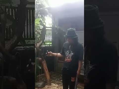 Silat jawara lawas 17 - Golok art