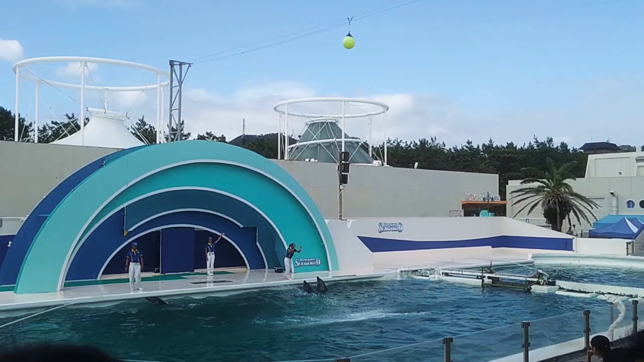 #Seaworld #japan - YouTube