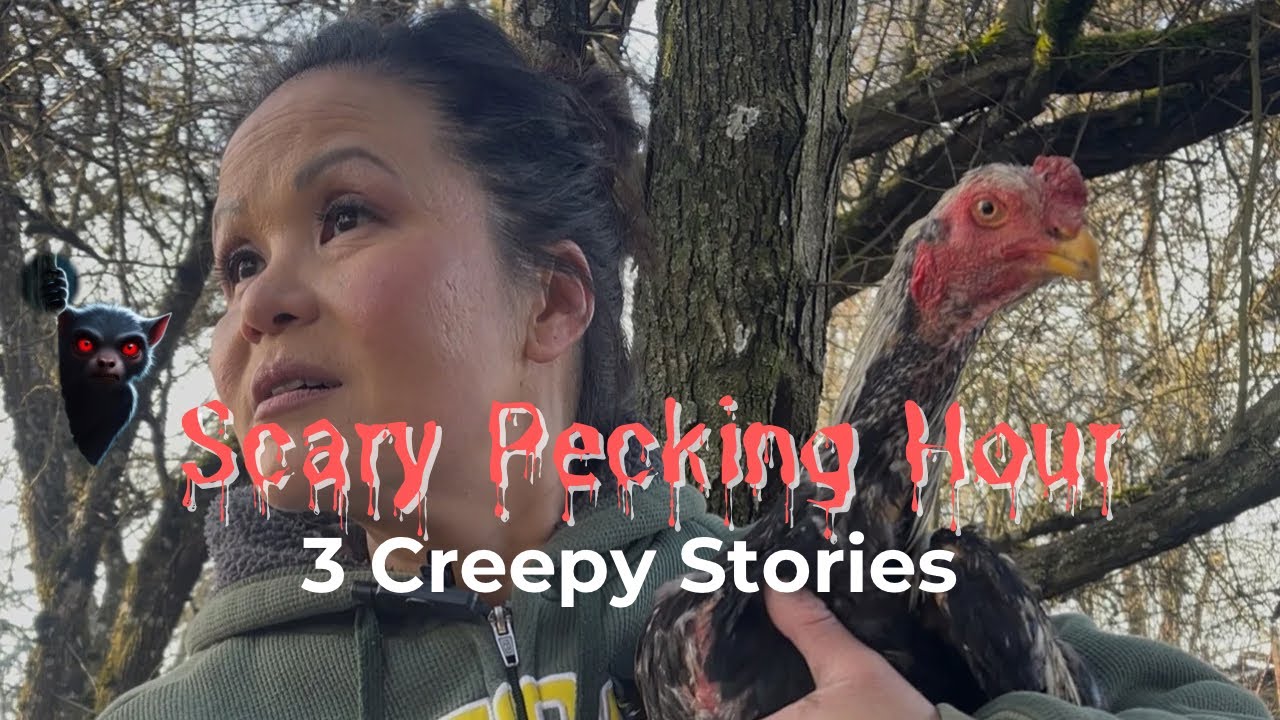 3 Creepy Stories… Told by a Chicken Lady 🐔👀 | Scary Pecking Hours #1 ...