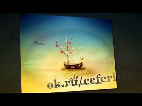 MERSİYE