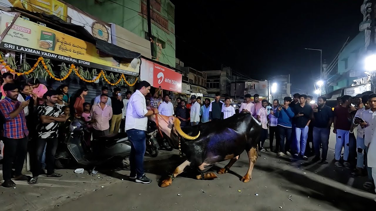 Laddu Yadav Sadar At Cheppal Bazar 2023 | Laddu Yadv Sadar 2023 | Sadar ...