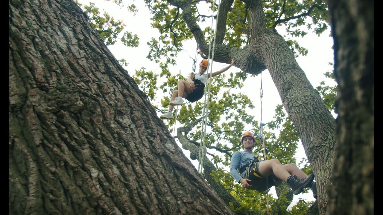 What is Recreational Tree Climbing? - YouTube