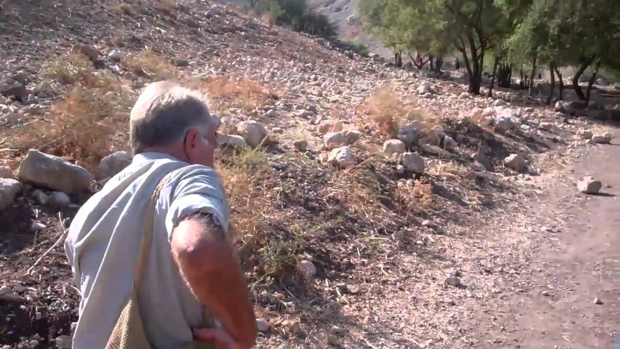 Gary Bayer - Belly of the Dove - 33 Hope Scouting Trip Israel - YouTube
