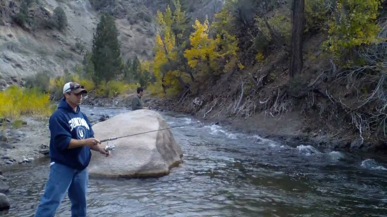 More Fishing on the Carson river - YouTube