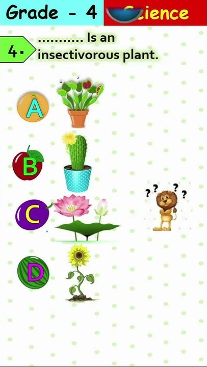 [Science Quiz with answer]...is an insectivorous plant [Grade 4] # ...