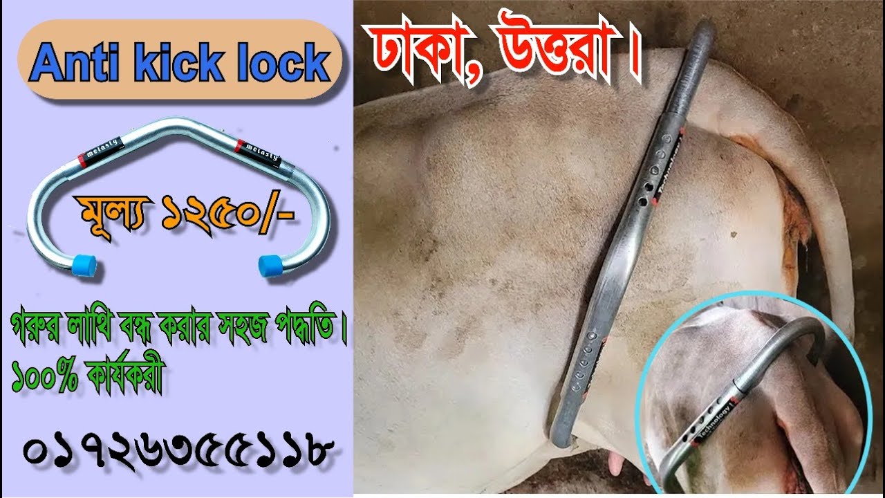 #anti_kick_bar | #anti_kick_lock_for_cow | cow anti kick bar | দুধবতি ...