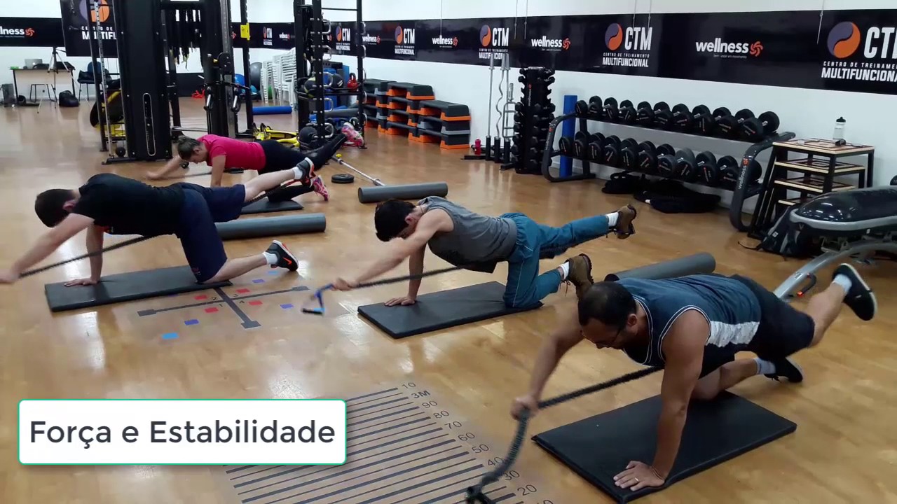 FORÇA E ESTABILIDADE DO CORE: Exercício para fortalecer coluna, glúteos ...