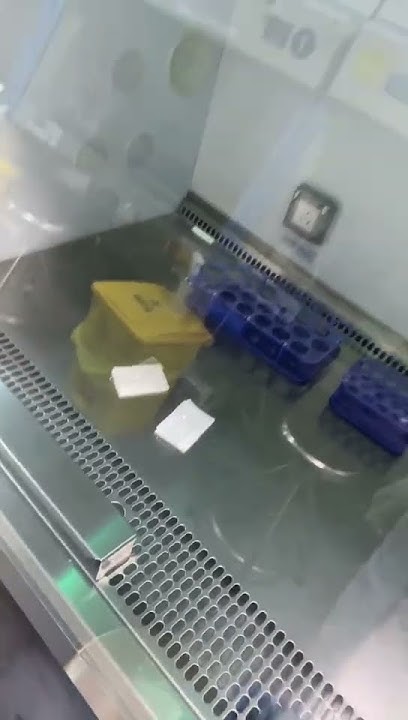 Let’s sanitize cell counter chambers with a biological safety cabinet ...