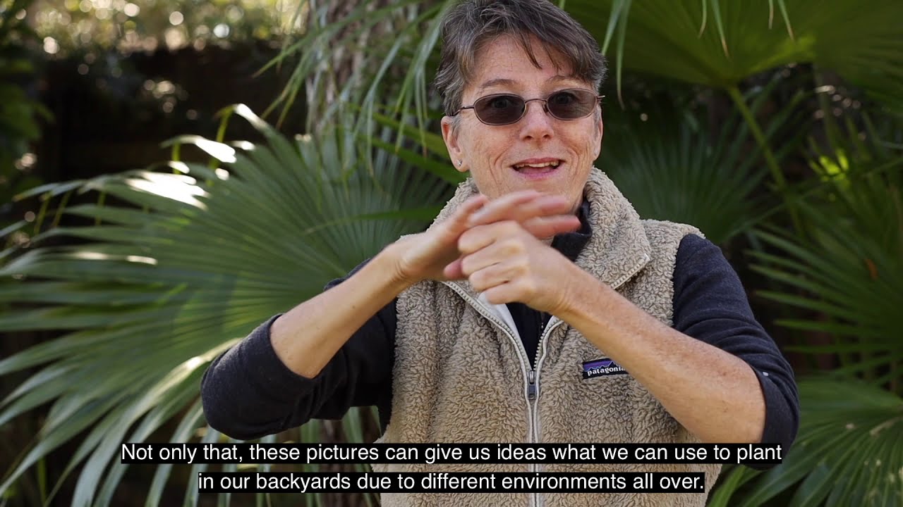 Science in ASL: Giving Back to Nature - YouTube