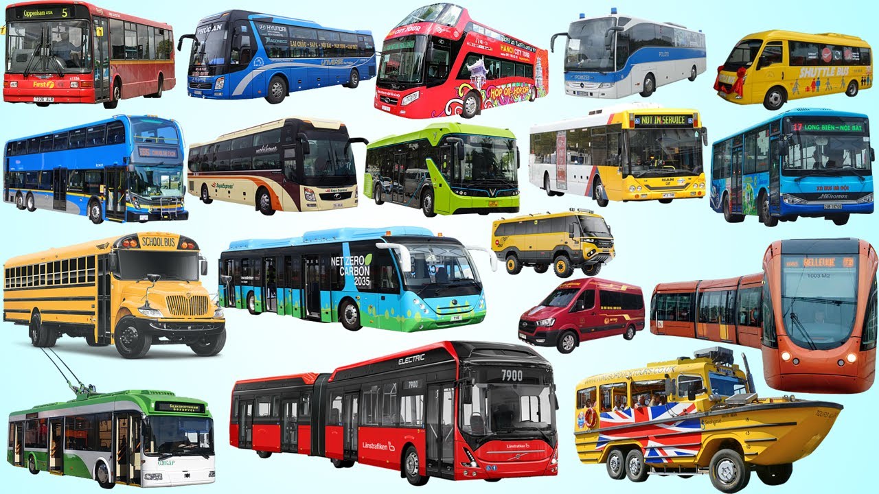 School Bus, City Bus, Coach, Police Bus | Bus name collection ...