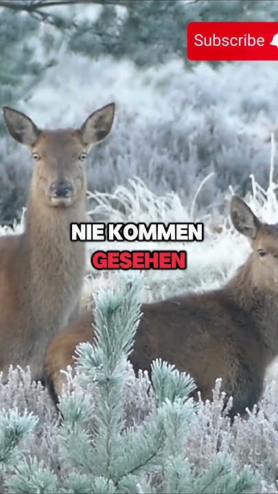 Was Passiert Mit Einer Frau, Wenn Sie Einen Mann Oral Befriedigt | Stoischer Weitblick - YouTube