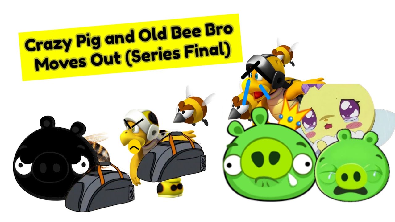Crazy Pig and Old Bee Bro Moves Out (Series Final) - YouTube