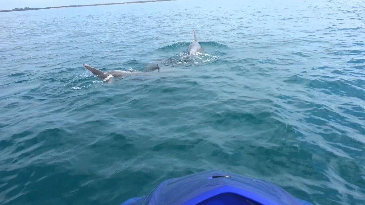 Mud Island Moreton Bay Queensland - YouTube