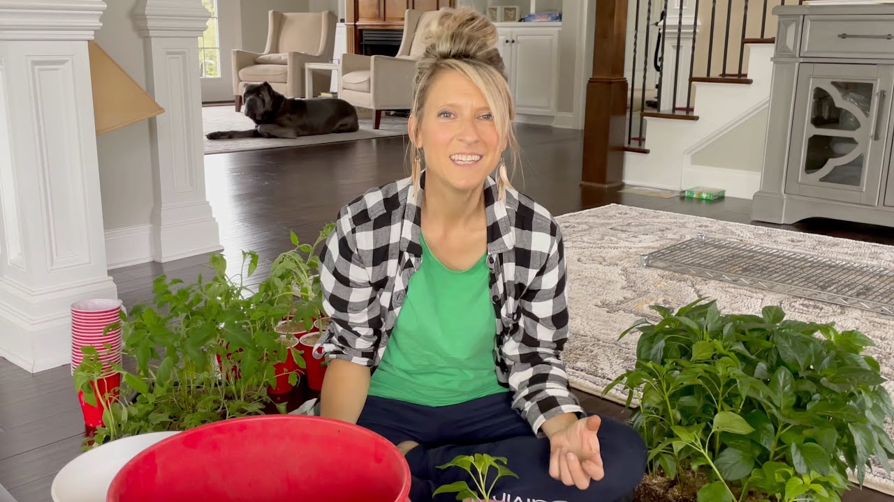 This one tip will give you a HUGE pepper harvest! PLUS, how to plan for ...