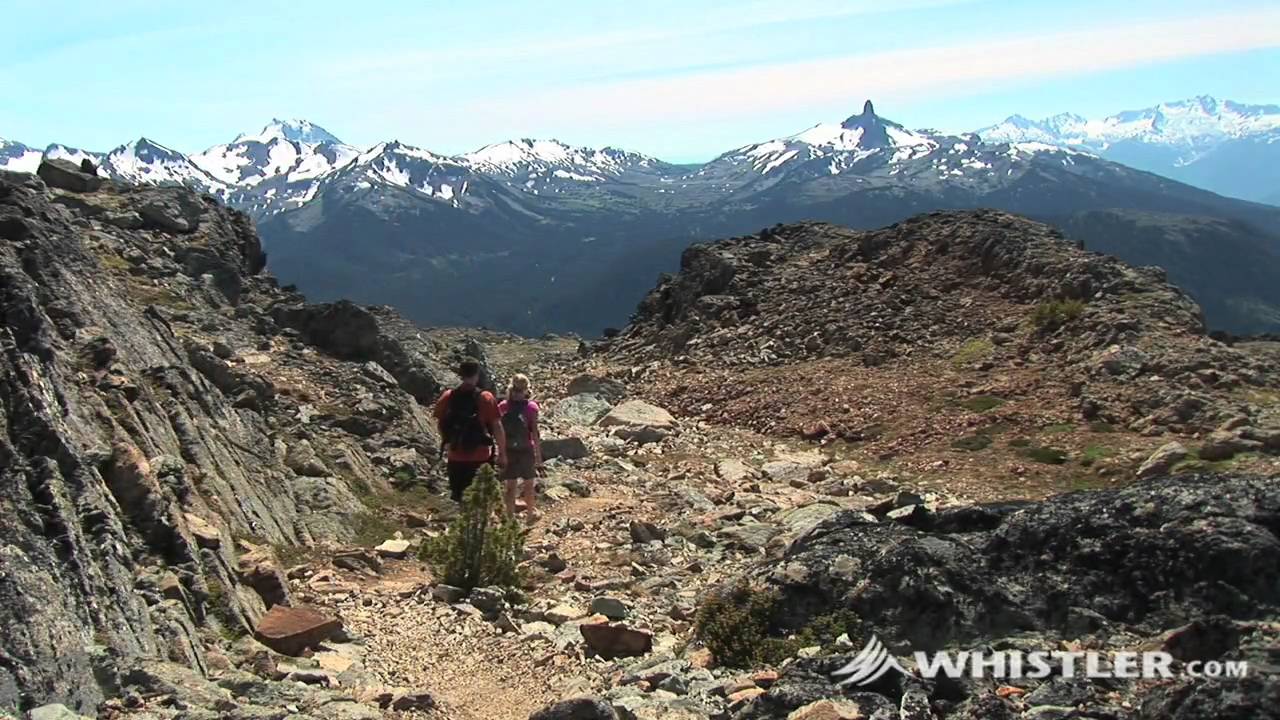 Alpine Hiking on Whistler Mountain - YouTube