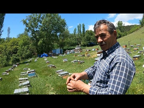 Arıcılıkda Varroa ve Oğul Mücadelesi Hakkında Arıcı Bahri Usta ile Sohbet