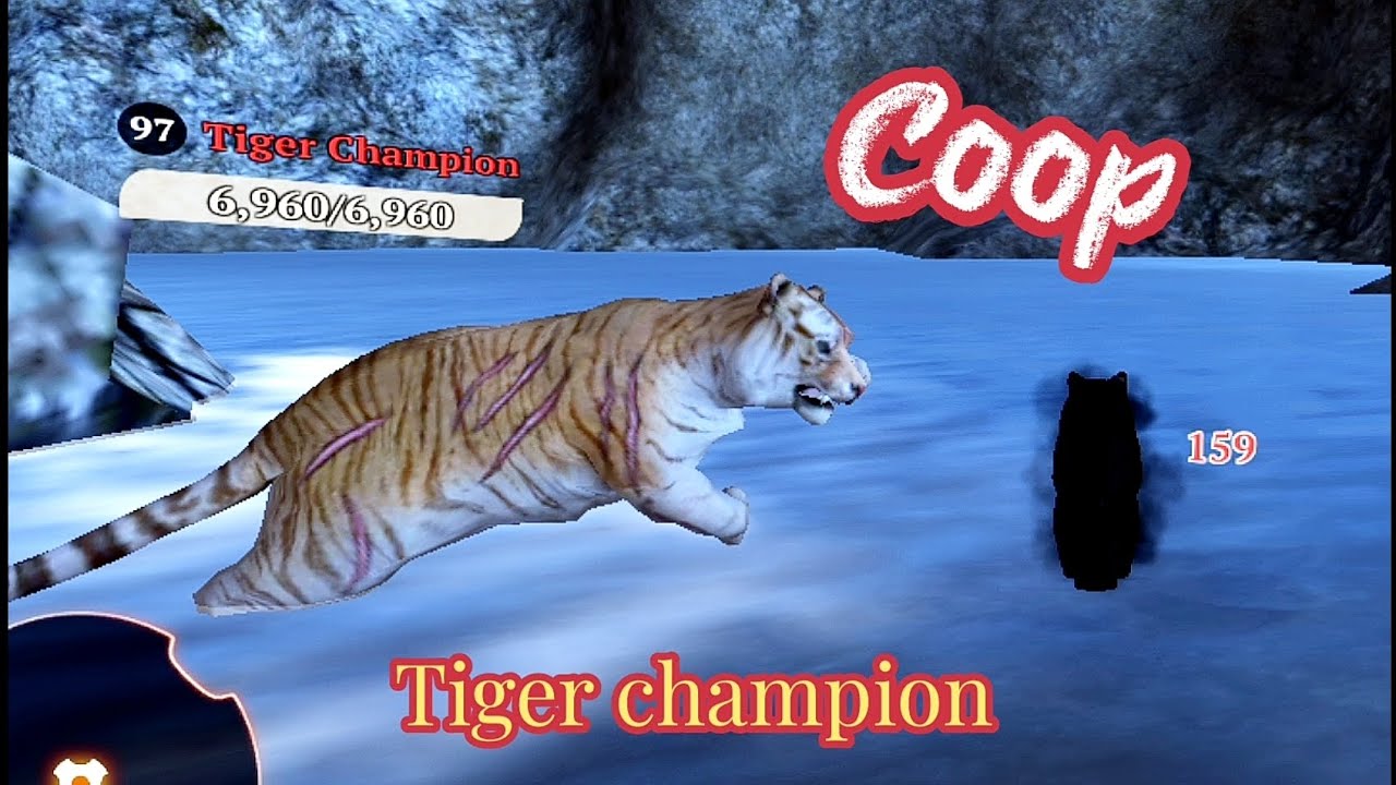 the wolf - Tiger champion #thewolf - YouTube
