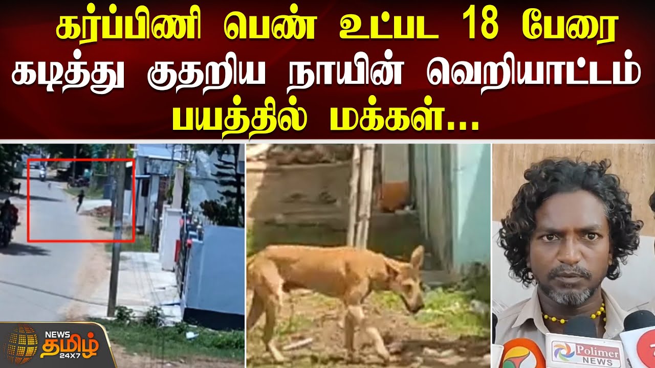 கர்ப்பிணி பெண் உட்பட 18 பேரை கடித்து குதறிய நாயின் வெறியாட்டம் ...