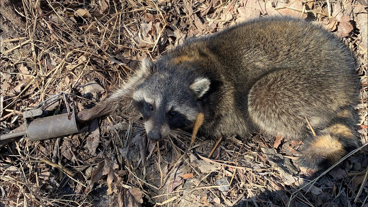 Running the Line (Episode 1) - YouTube