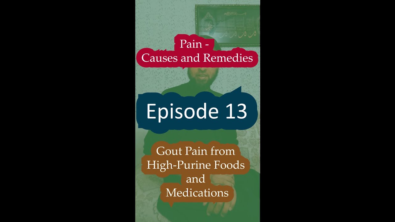 Episode 13 - Pain Causes and Remedies - Gout Pain from High Purine ...