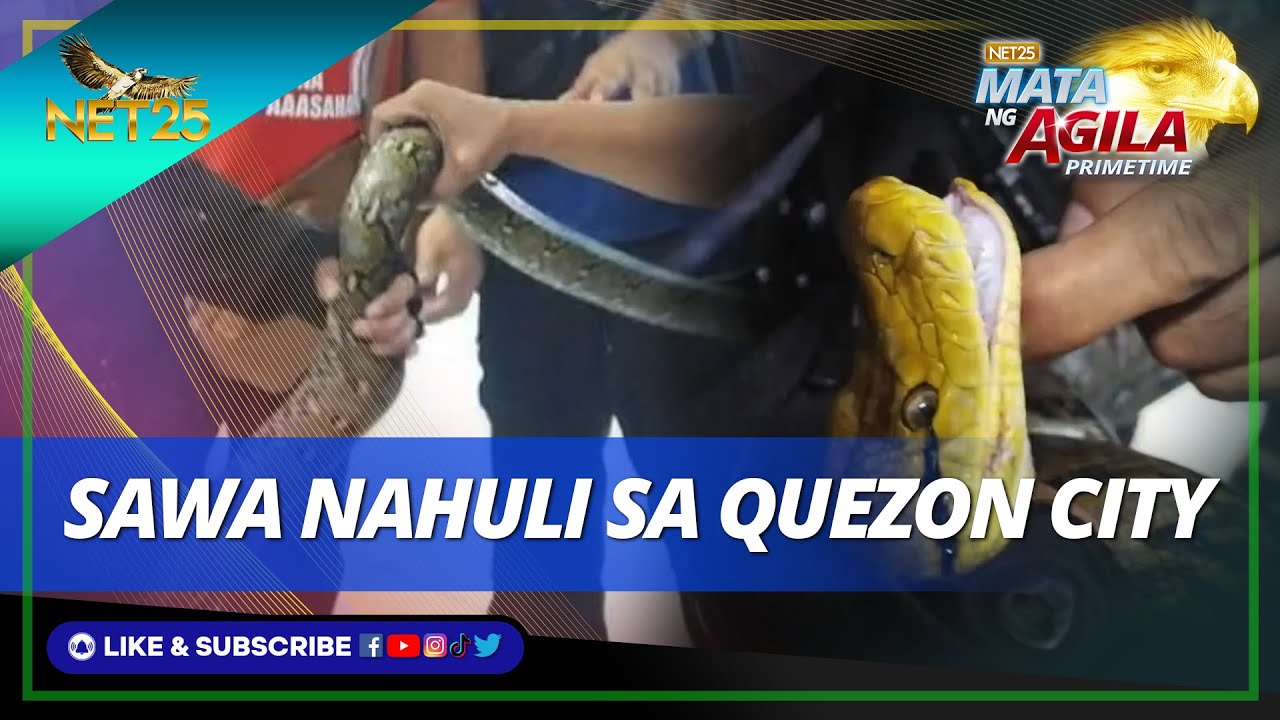 Sawa nahuli sa mga kabahayan sa Quezon City | Mata ng Agila Primetime - YouTube