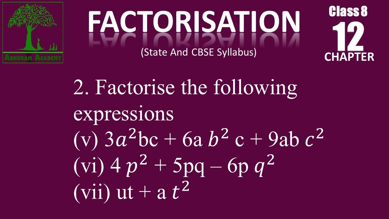 Class 8 Factorization Basics - YouTube