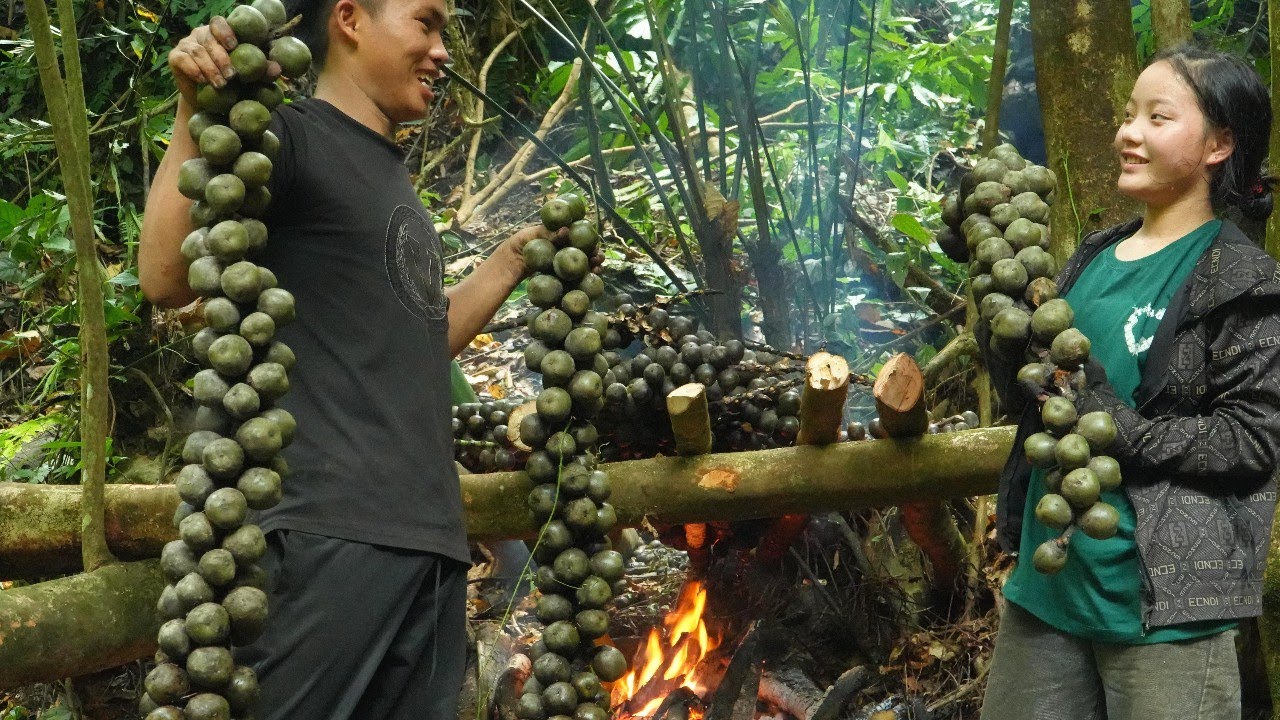 Harvesting wild Dac seeds: how to cook a super delicious dish from Dac ...