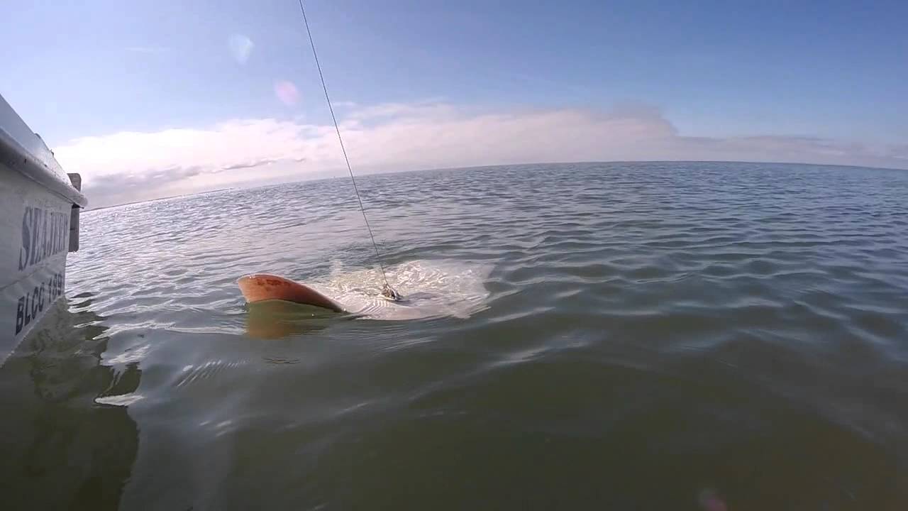 Wind farm fishing trip. 54 miles. Irish sea. From blackpool - YouTube