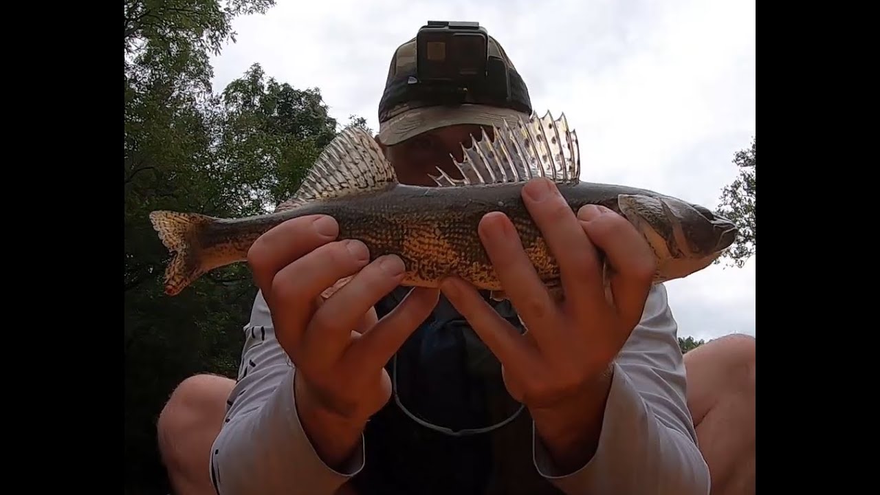 River yak fishing the Finesse TRD- SO MANY SPECIES CAUGHT! - YouTube