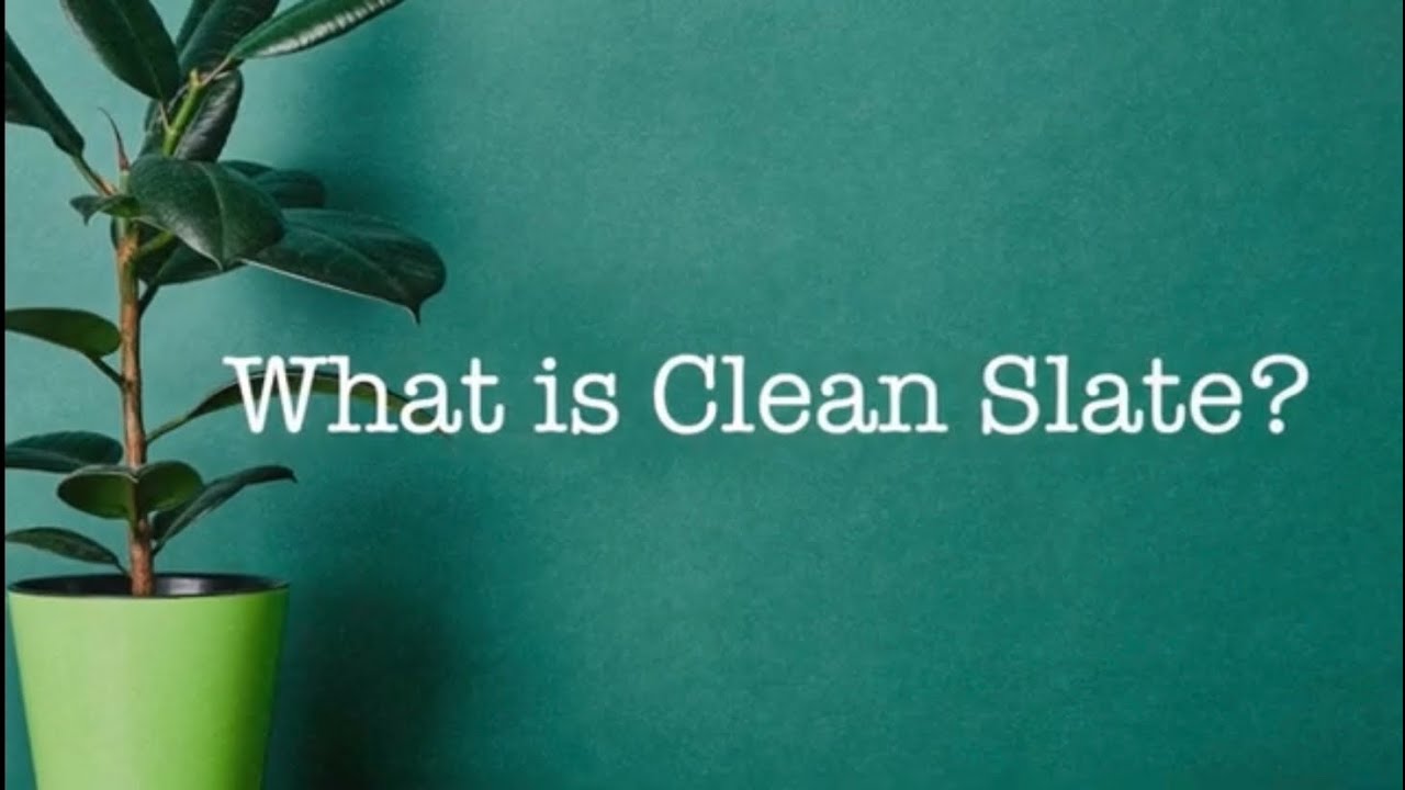 Dr. Christina Rahm Answers: What is Clean Slate? | Eradicate Toxins ...