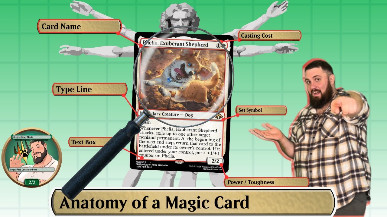 Anatomy of a Magic card 👀 - YouTube